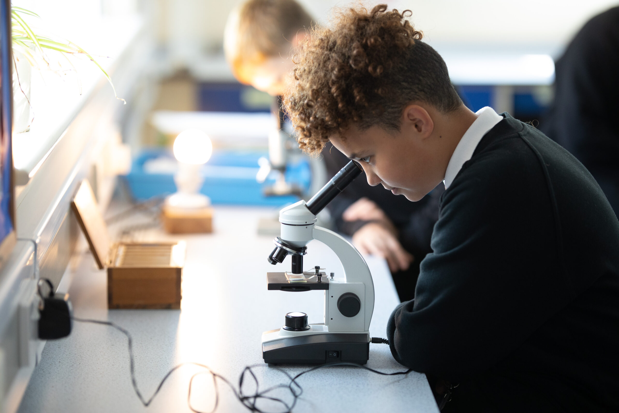 Science – The Netherhall School